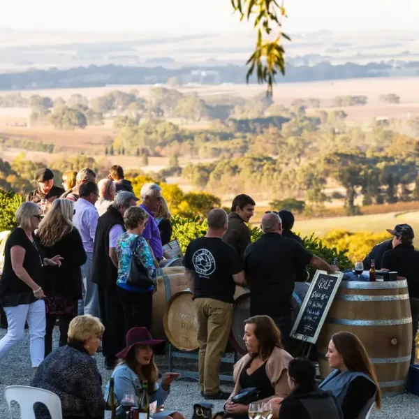 Wine Tours Adelaide