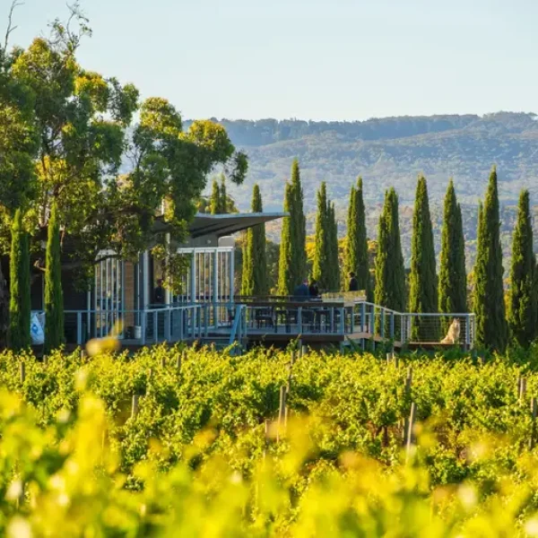 Wine Tours Adelaide